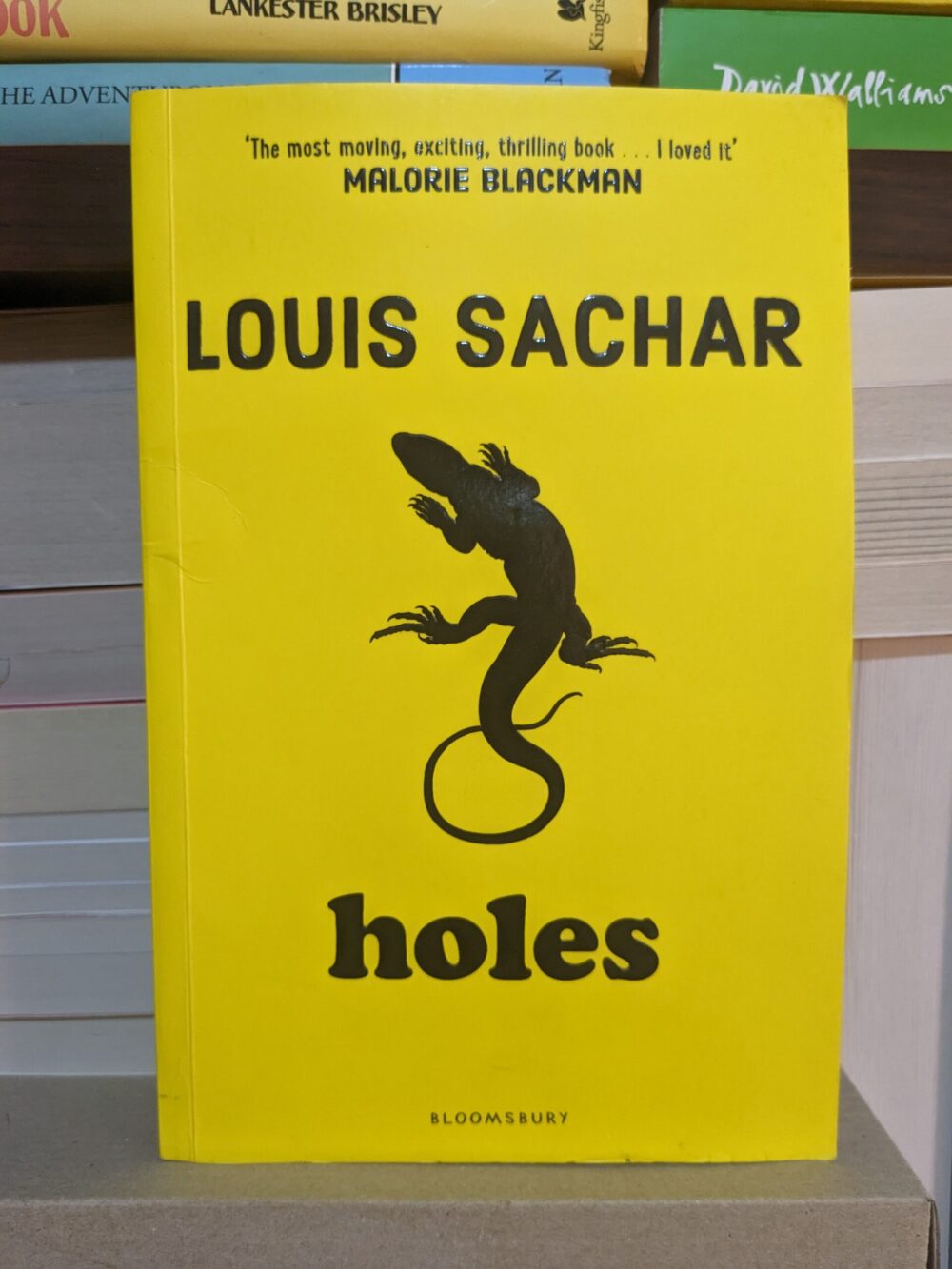Holes By Louis Sachar - Agadirbookshop